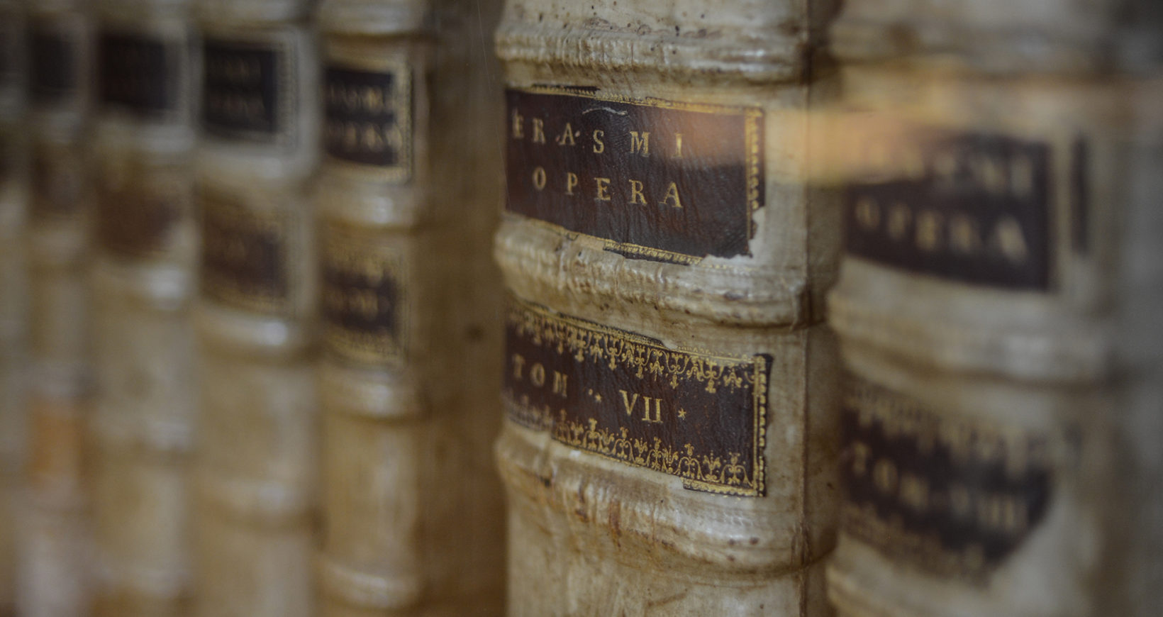 The Jewish Collection - Erasmus House